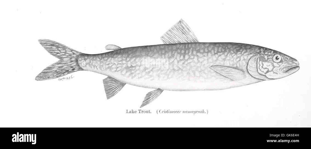 Trout fishing lakes Black and White Stock Photos & Images - Alamy