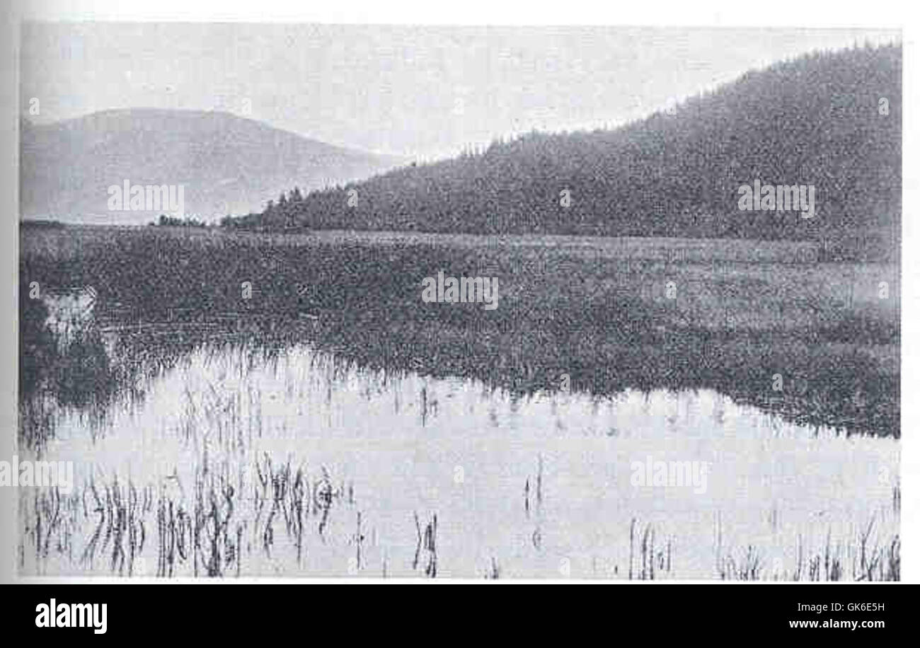 The marsh at the western end of Sergief Island in Alaska is a crucial ...