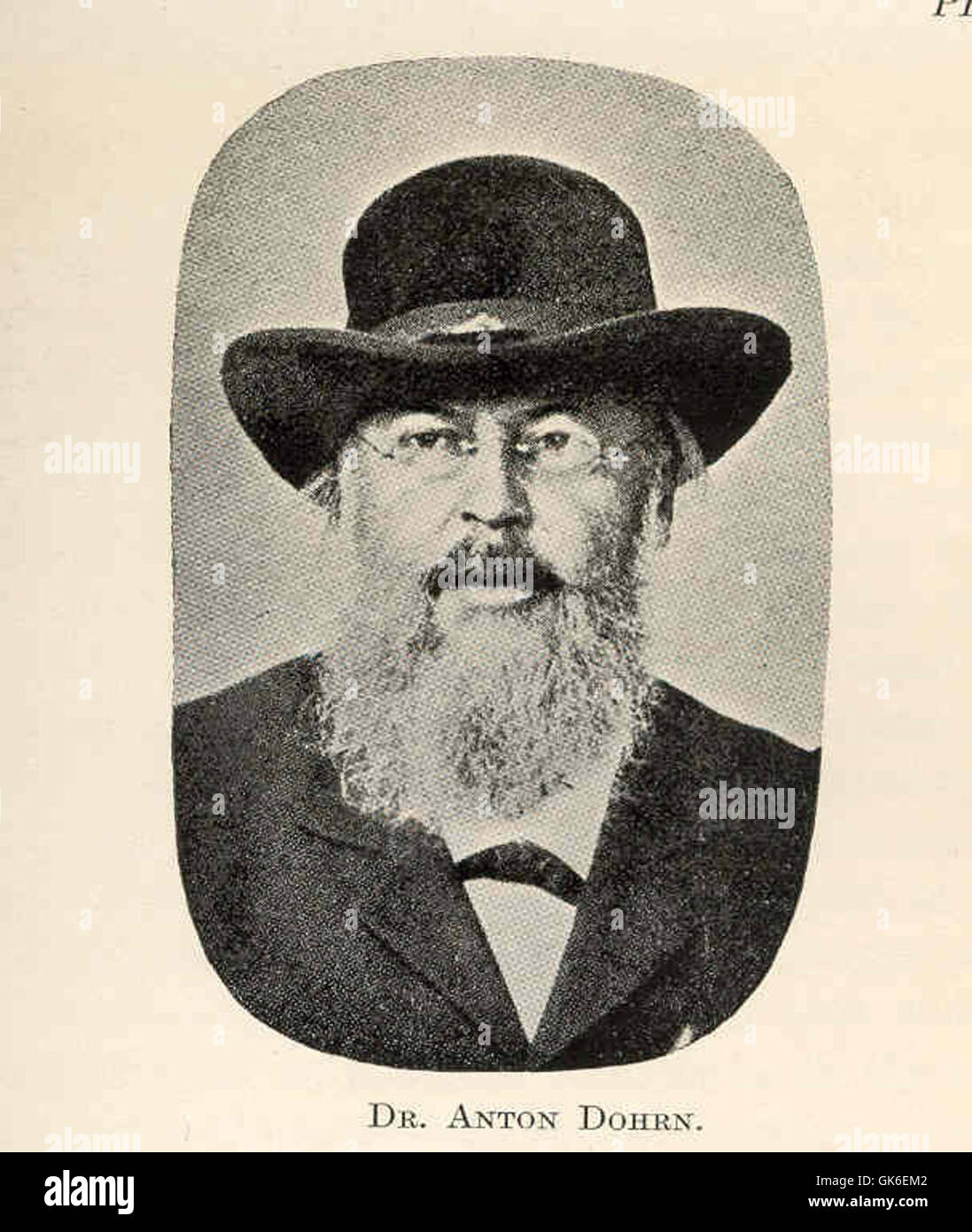 Anton Dohrn High Resolution Stock Photography and Images - Alamy