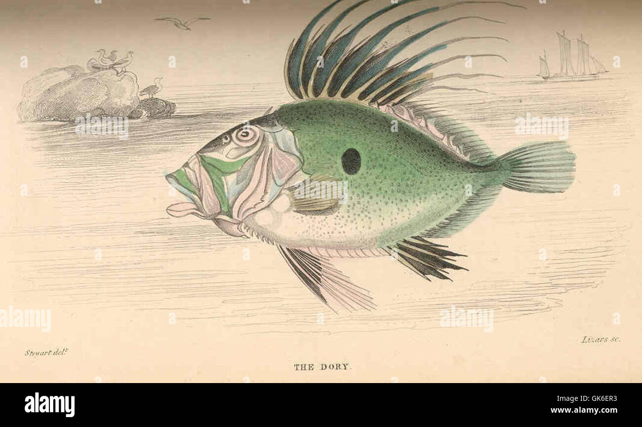 Old dory hi-res stock photography and images - Alamy