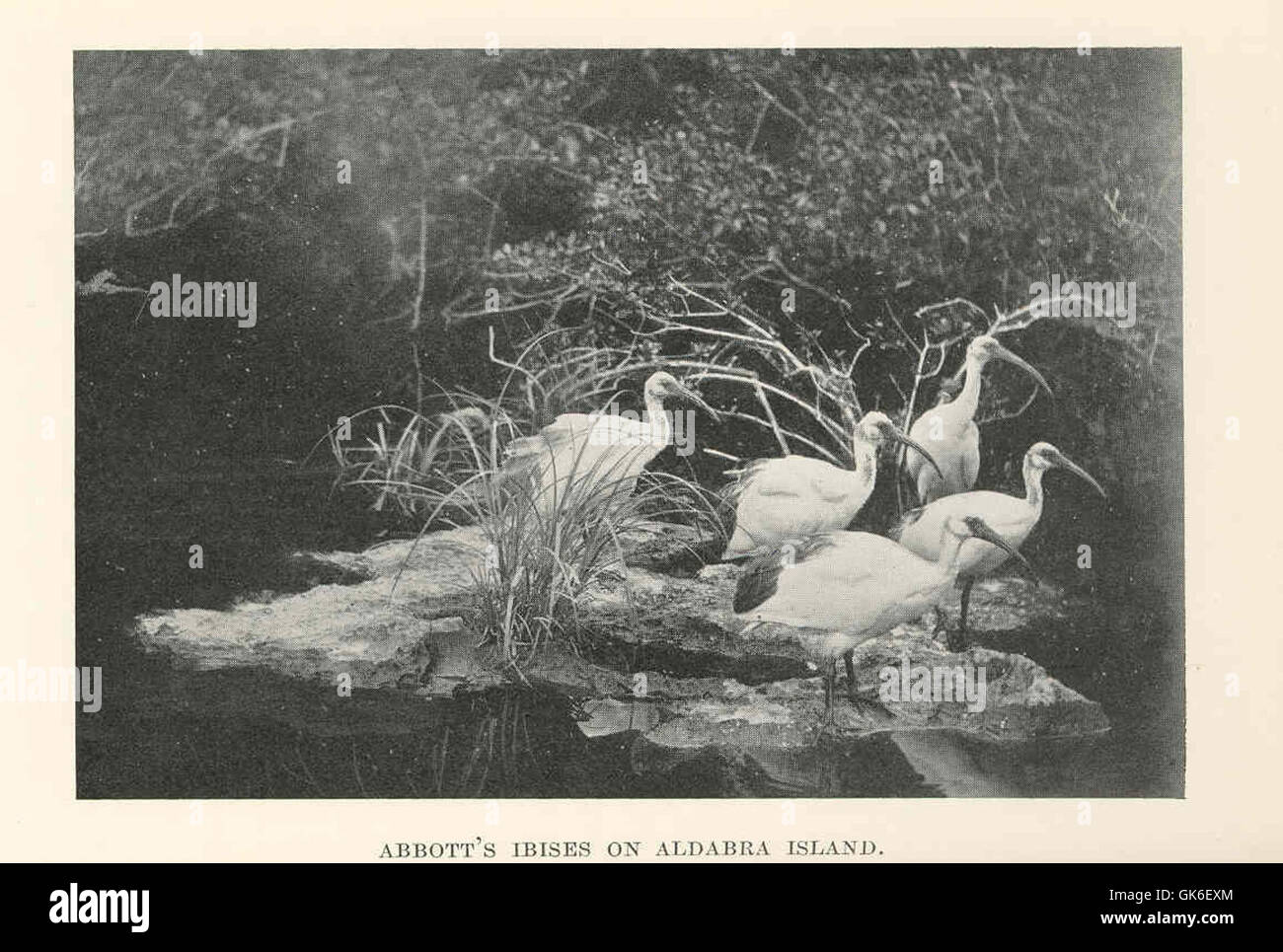 Abbotts map hi-res stock photography and images - Alamy