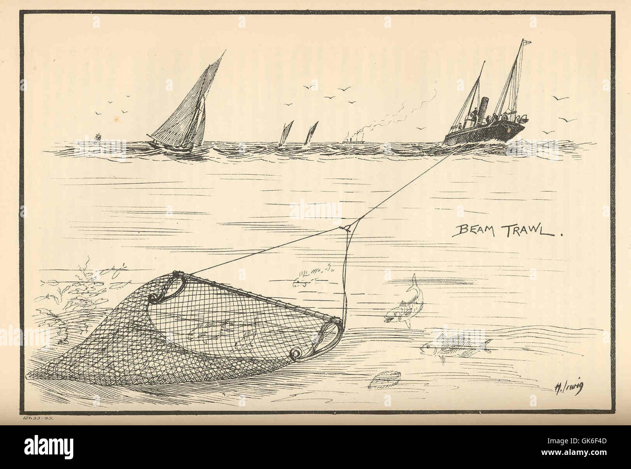 A beam trawl is a fishing net towed along the seabed to capture fish ...