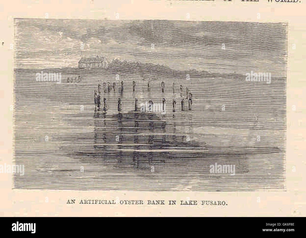 The artificial oyster bank in Lake Fusaro is a man-made structure ...