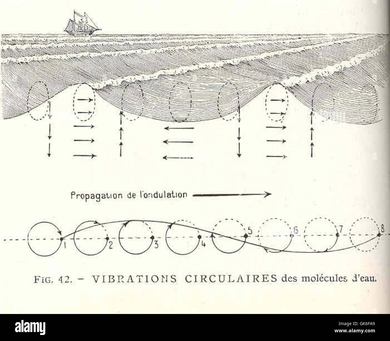 This image depicts the circular vibrations of water molecules ...