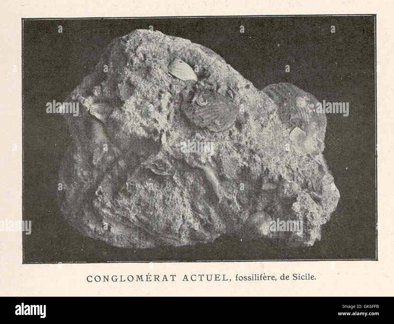 Conglomerate rock formations from Sicily, shown in their current state ...