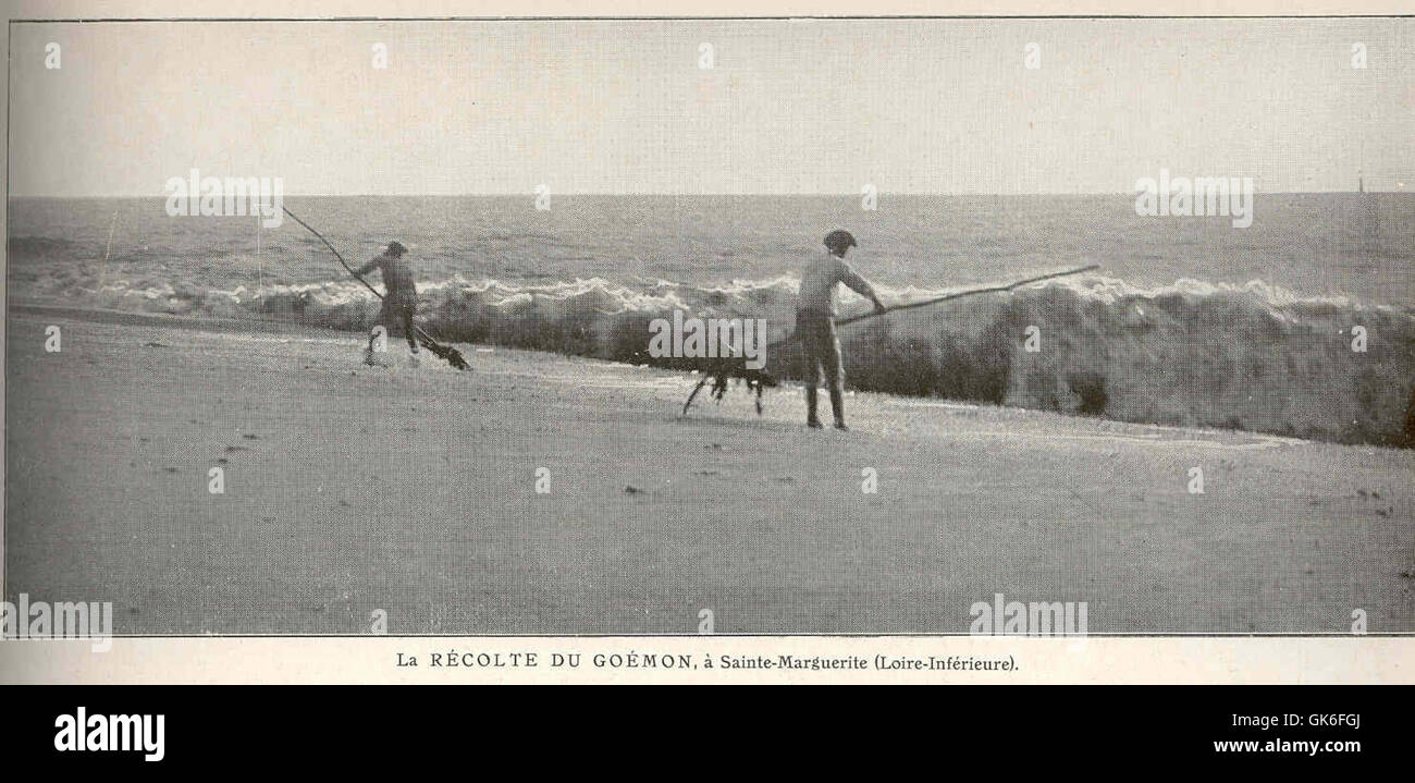 'Recolte du Goemon' depicts the harvesting of seaweed at Sainte ...