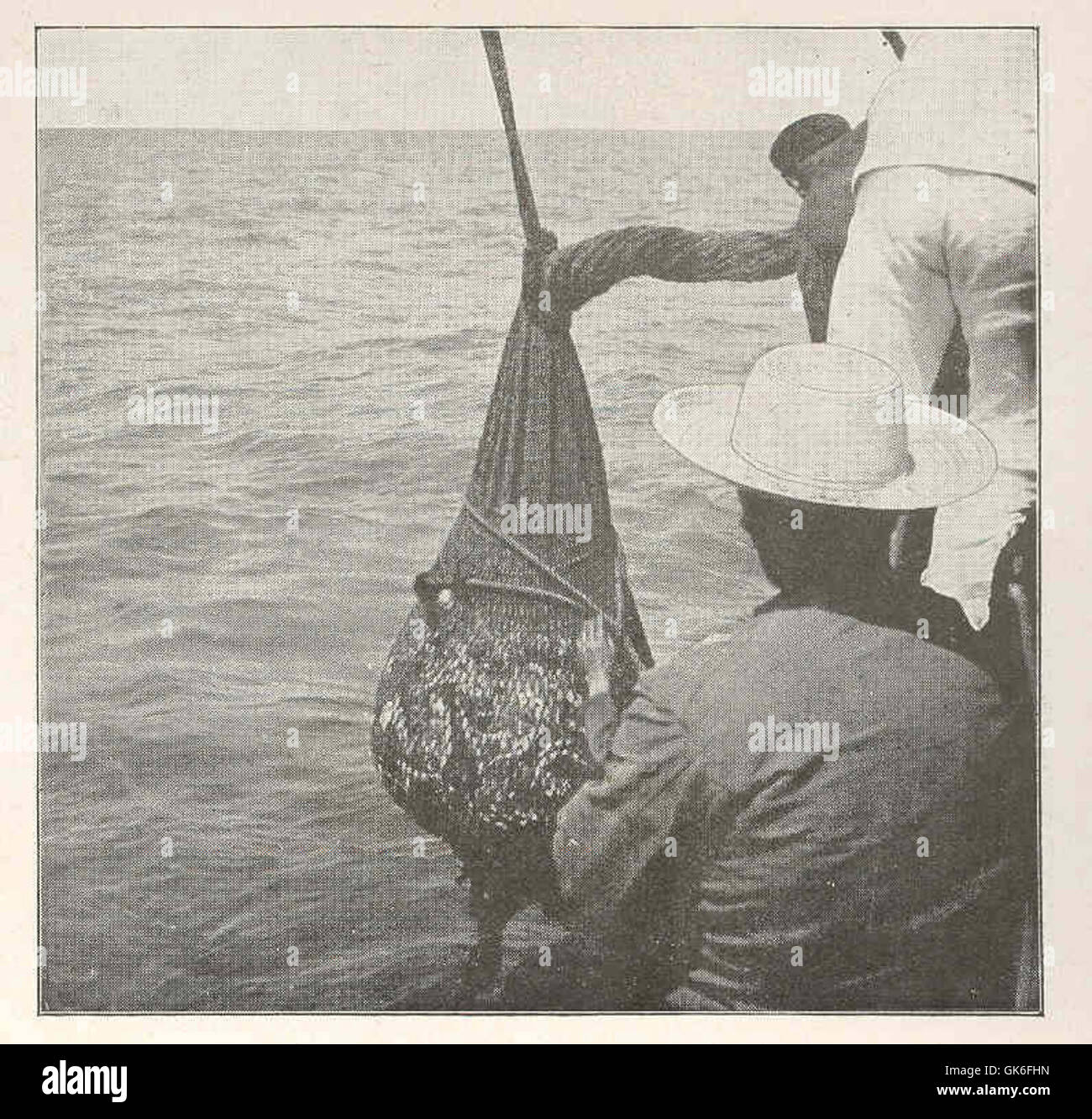 Fish net trawler catch hi-res stock photography and images - Alamy