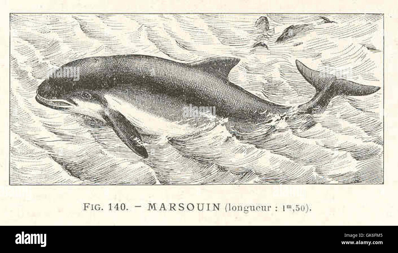 1m50 hi-res stock photography and images - Alamy