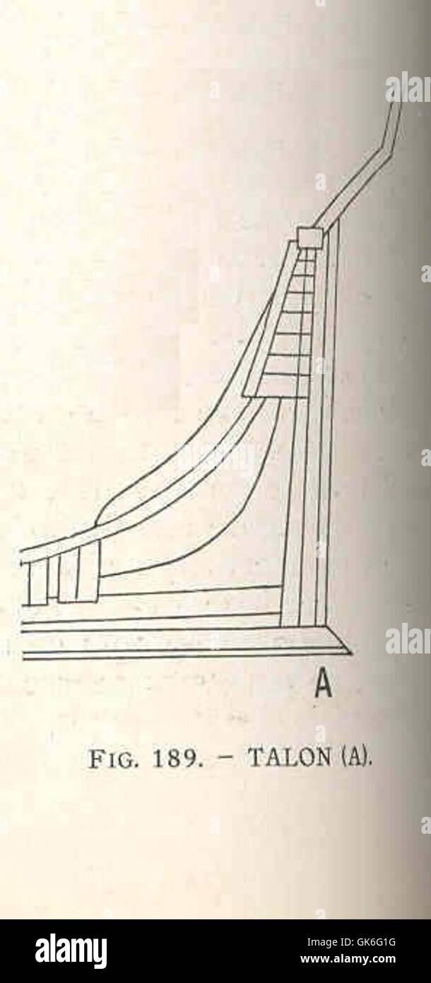 The talon is the sharp, curved claw of birds of prey, used for catching ...