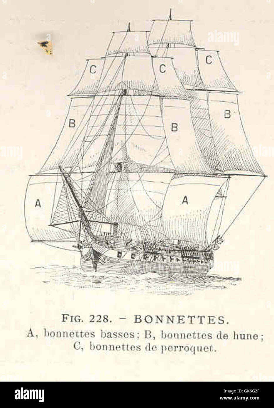 Bonnettes are traditional fishing tools used to capture fish in shallow ...