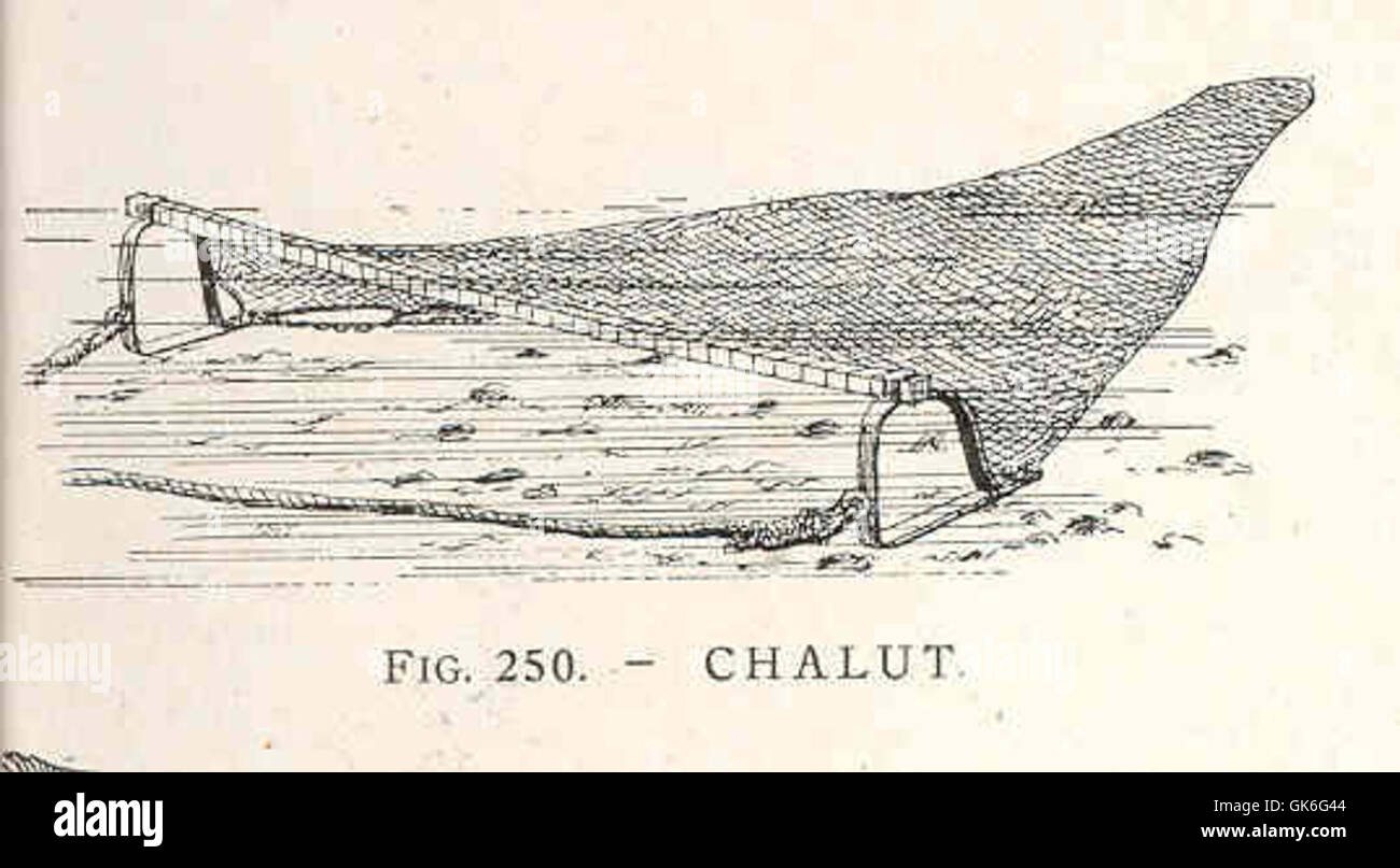 Chalut hi-res stock photography and images - Alamy