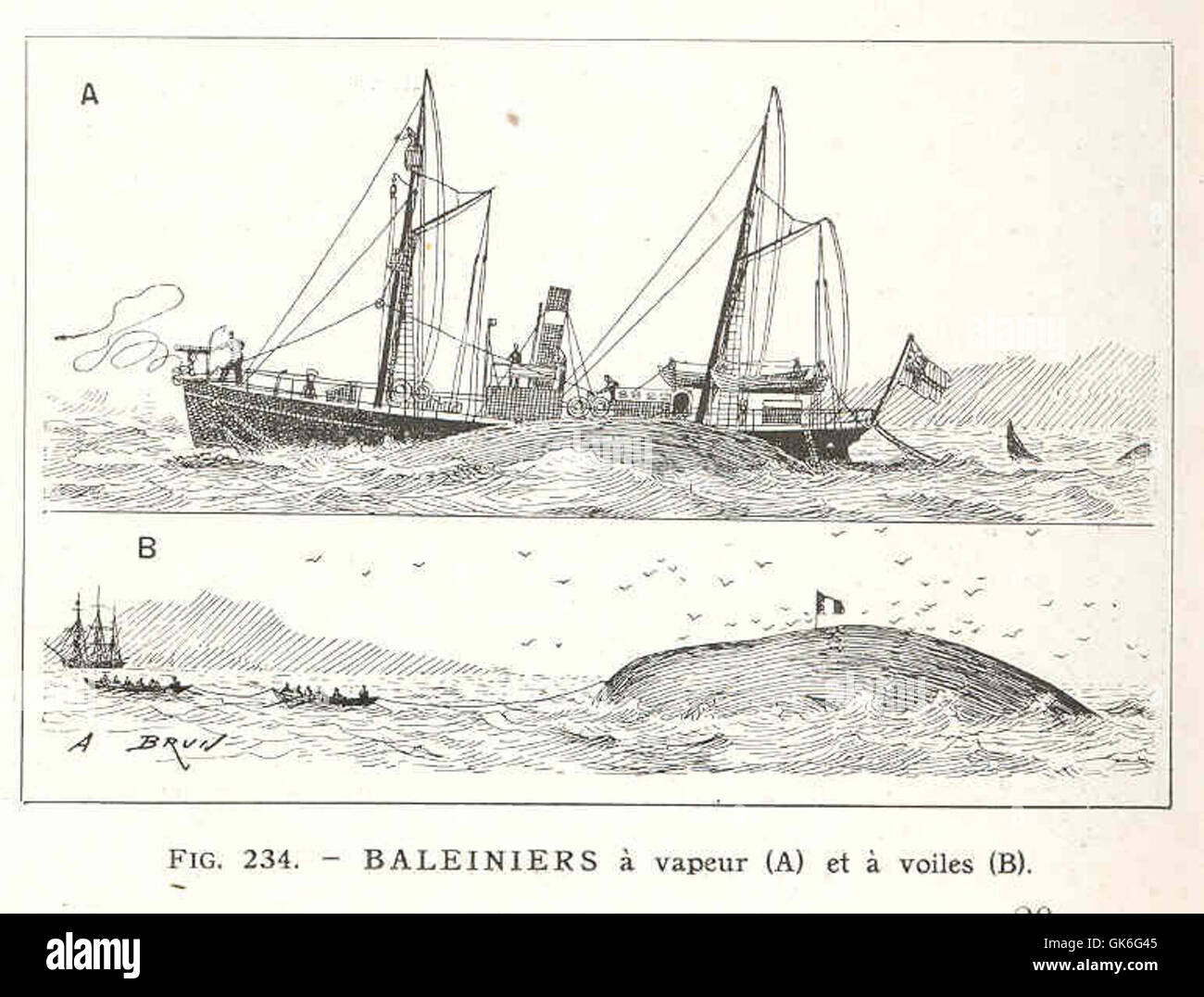 The image shows steam whalers (a) and sail-powered whalers (b ...