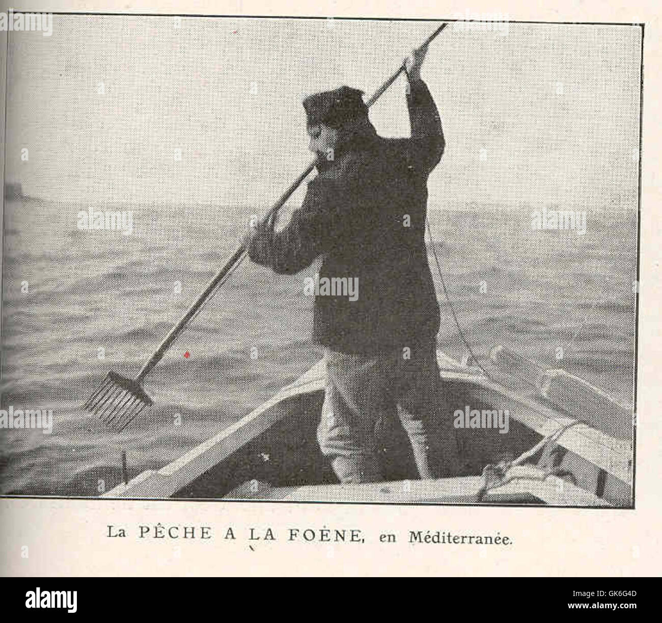 Foene hi-res stock photography and images - Alamy