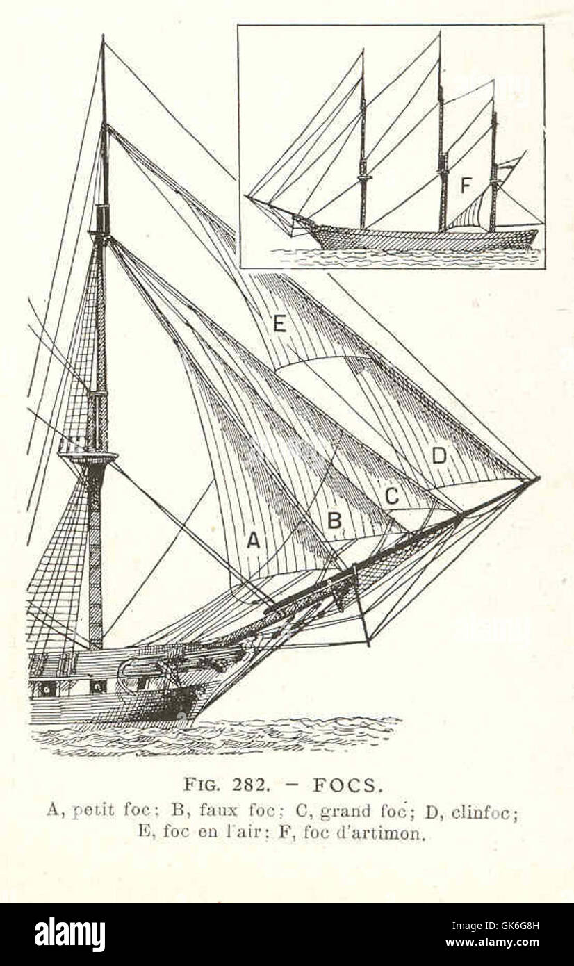 Focs hi-res stock photography and images - Alamy