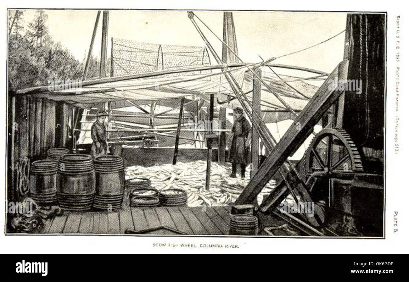 A scow fish wheel used on the Columbia River to catch migrating fish ...