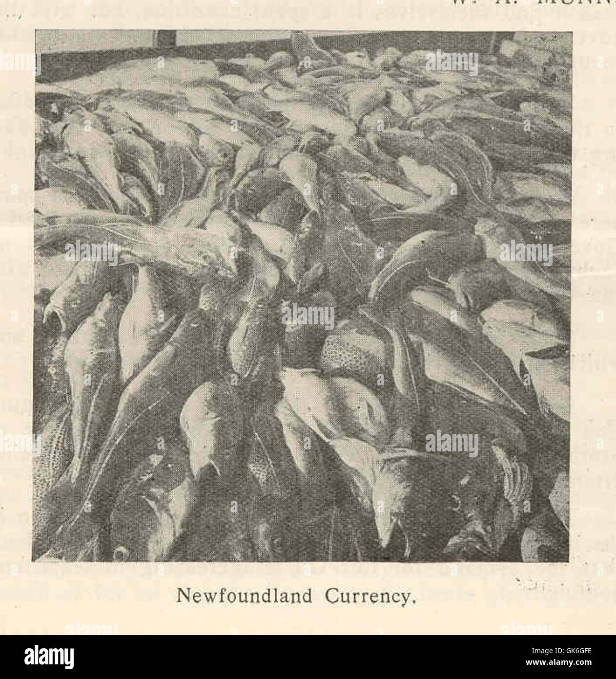 Newfoundland currency refers to the official monetary system used in ...