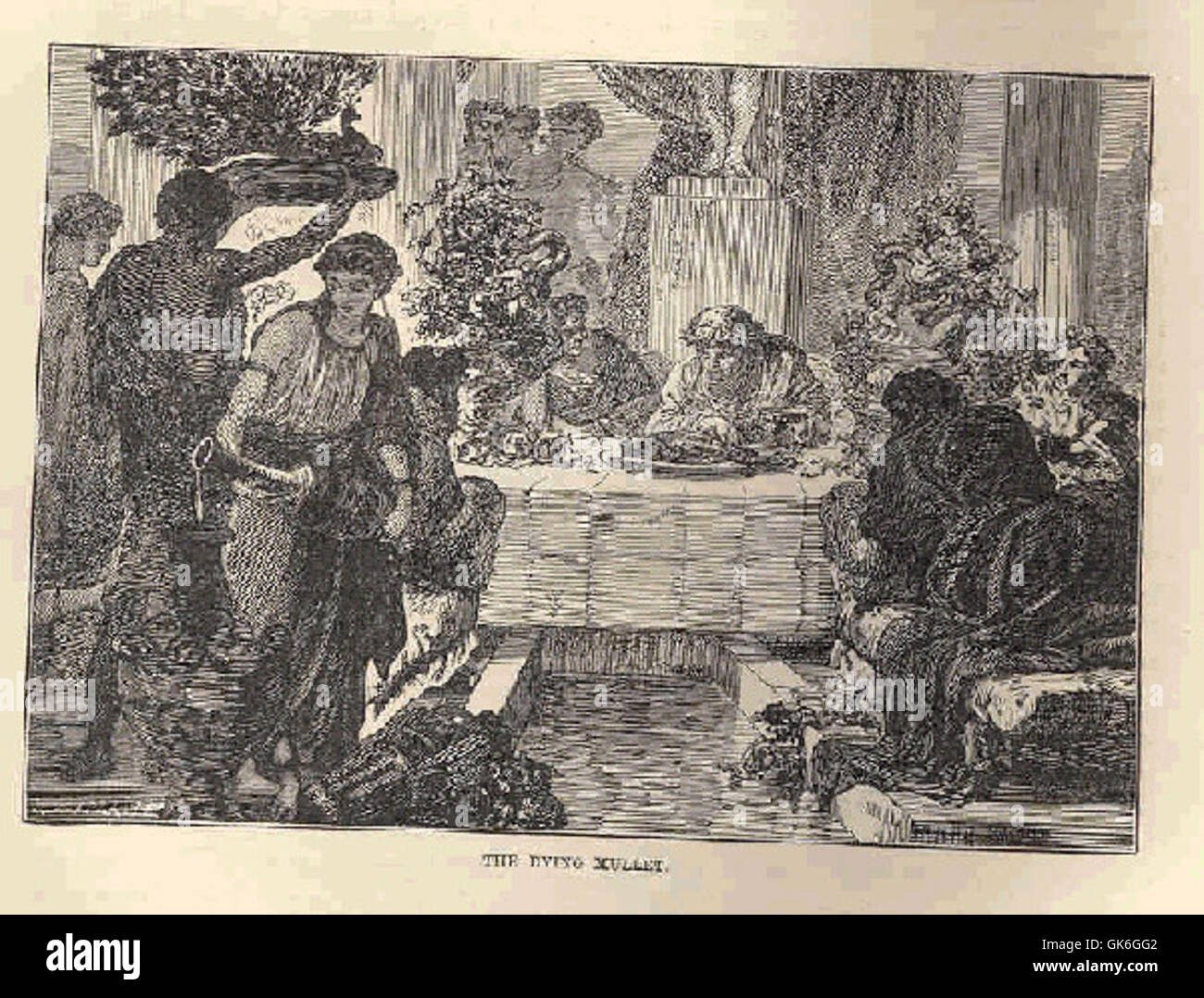 A mullet fish in the process of dying, exhibiting signs of distress ...