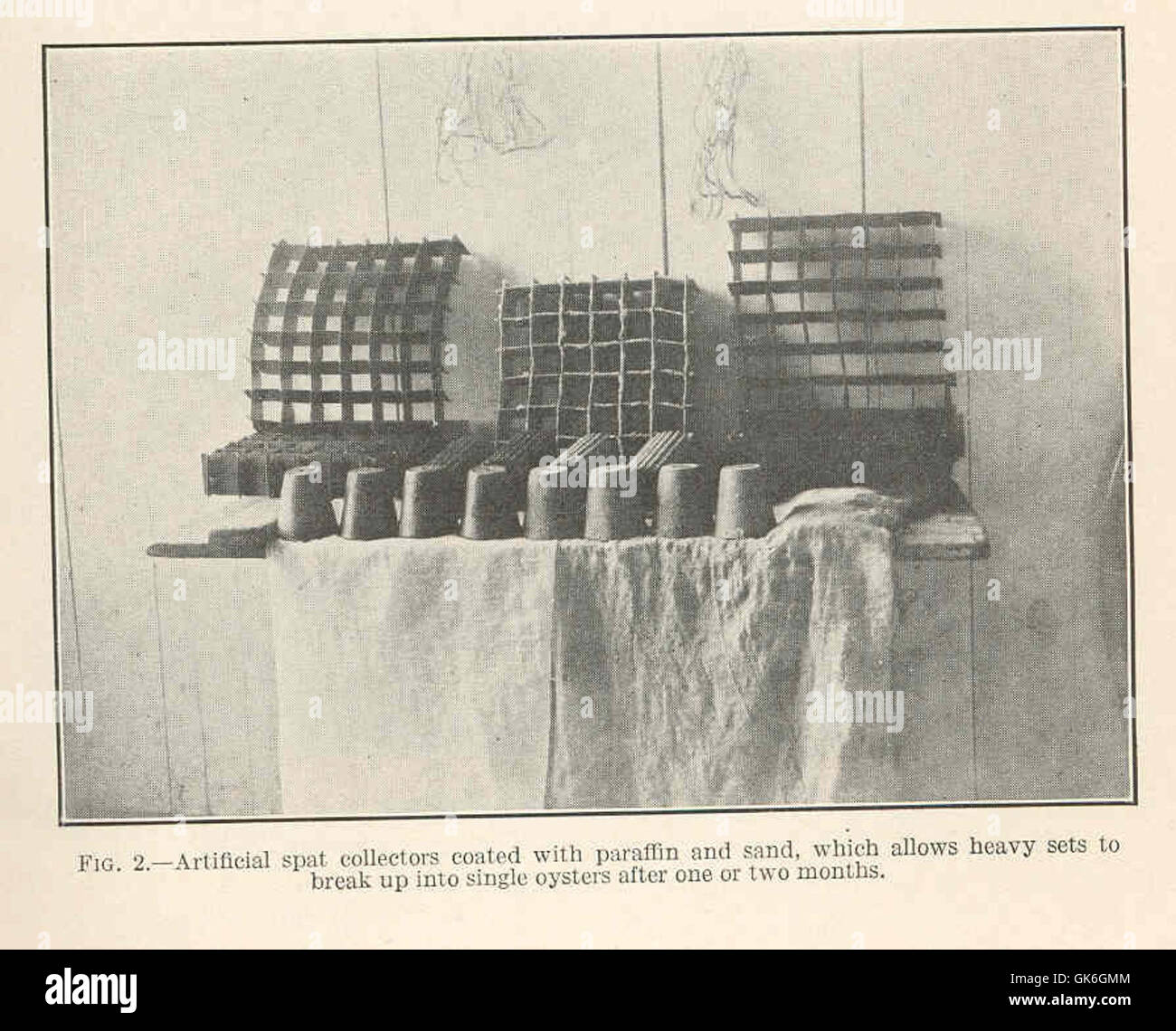 Spat collectors hi-res stock photography and images - Alamy