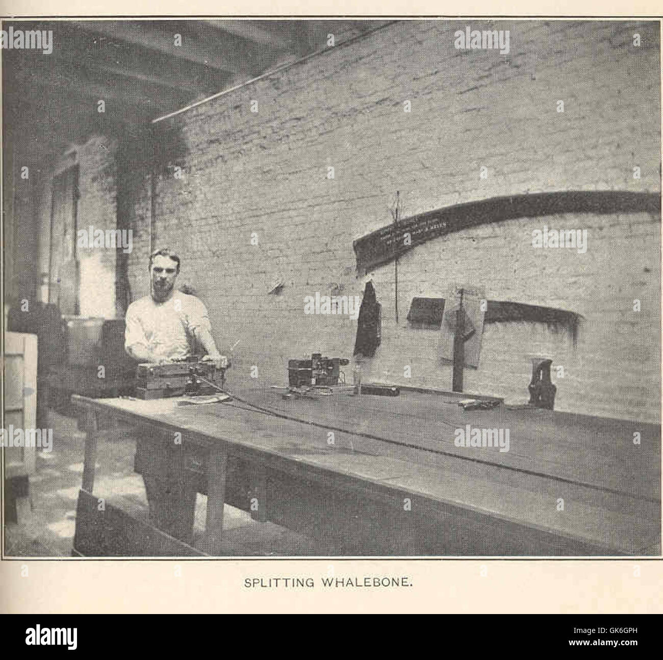 The process of splitting whalebone, a crucial activity in the whaling ...