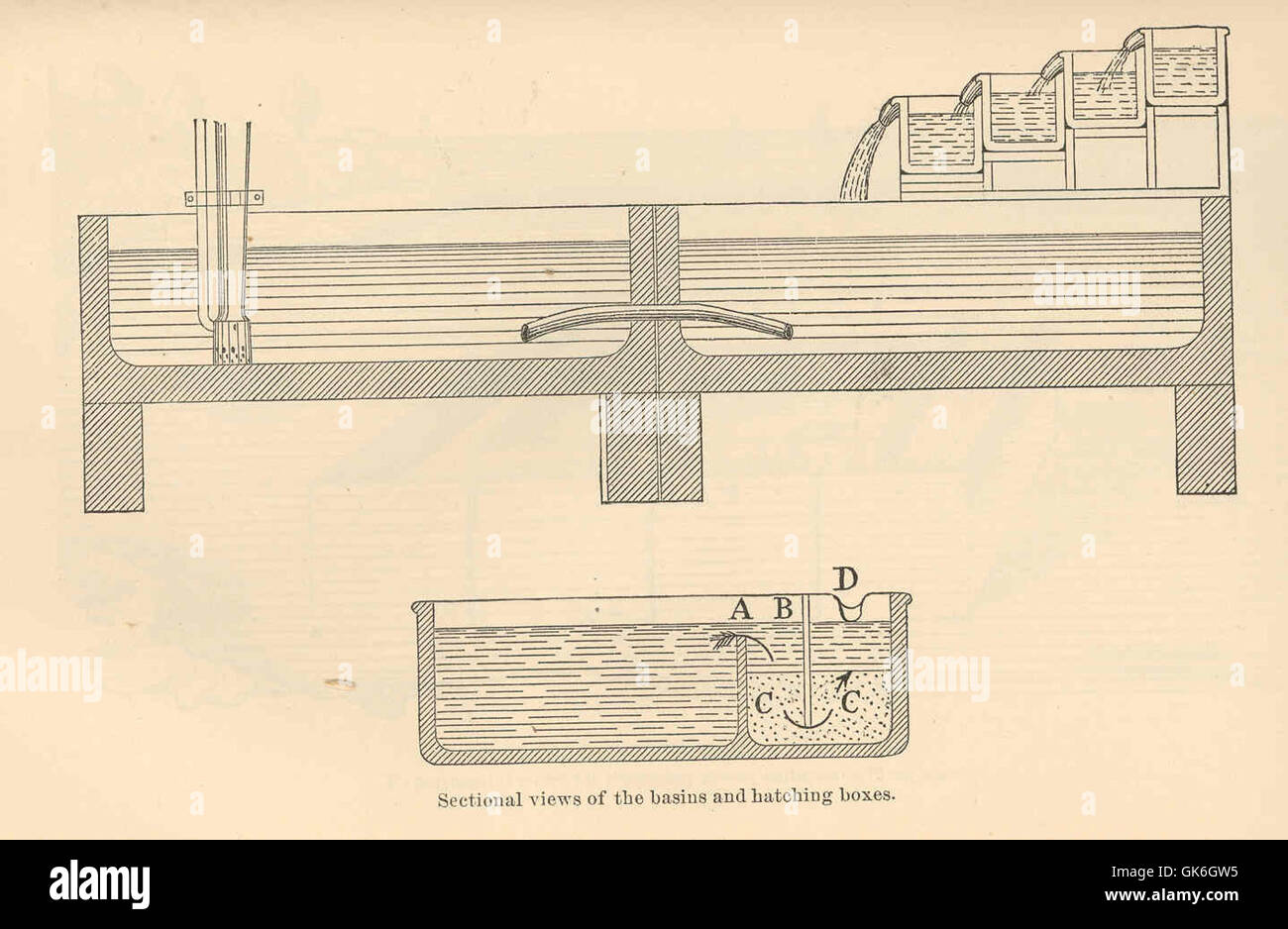 This sectional view depicts the basins and hatching boxes used in ...