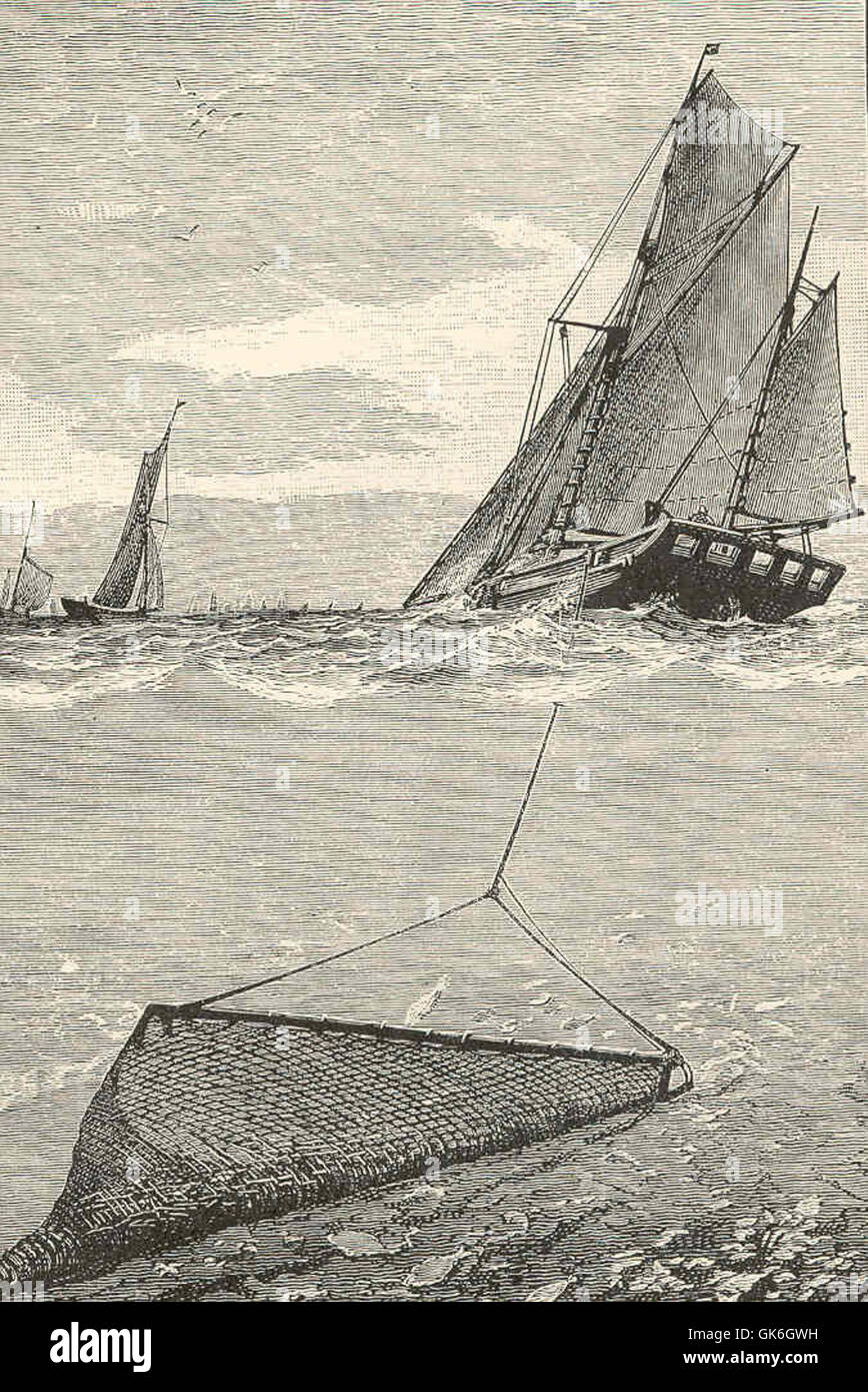 A fishing vessel towing a beam-trawl, a type of fishing net used to ...