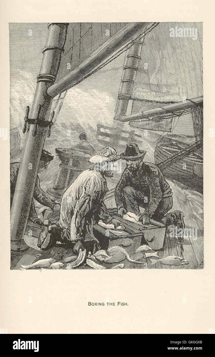 Boxing the Fish is a term used in fishing to describe the technique of ...