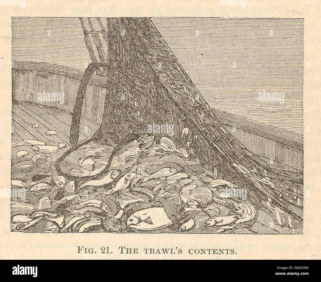 Fish trawl net underwater hi-res stock photography and images - Alamy