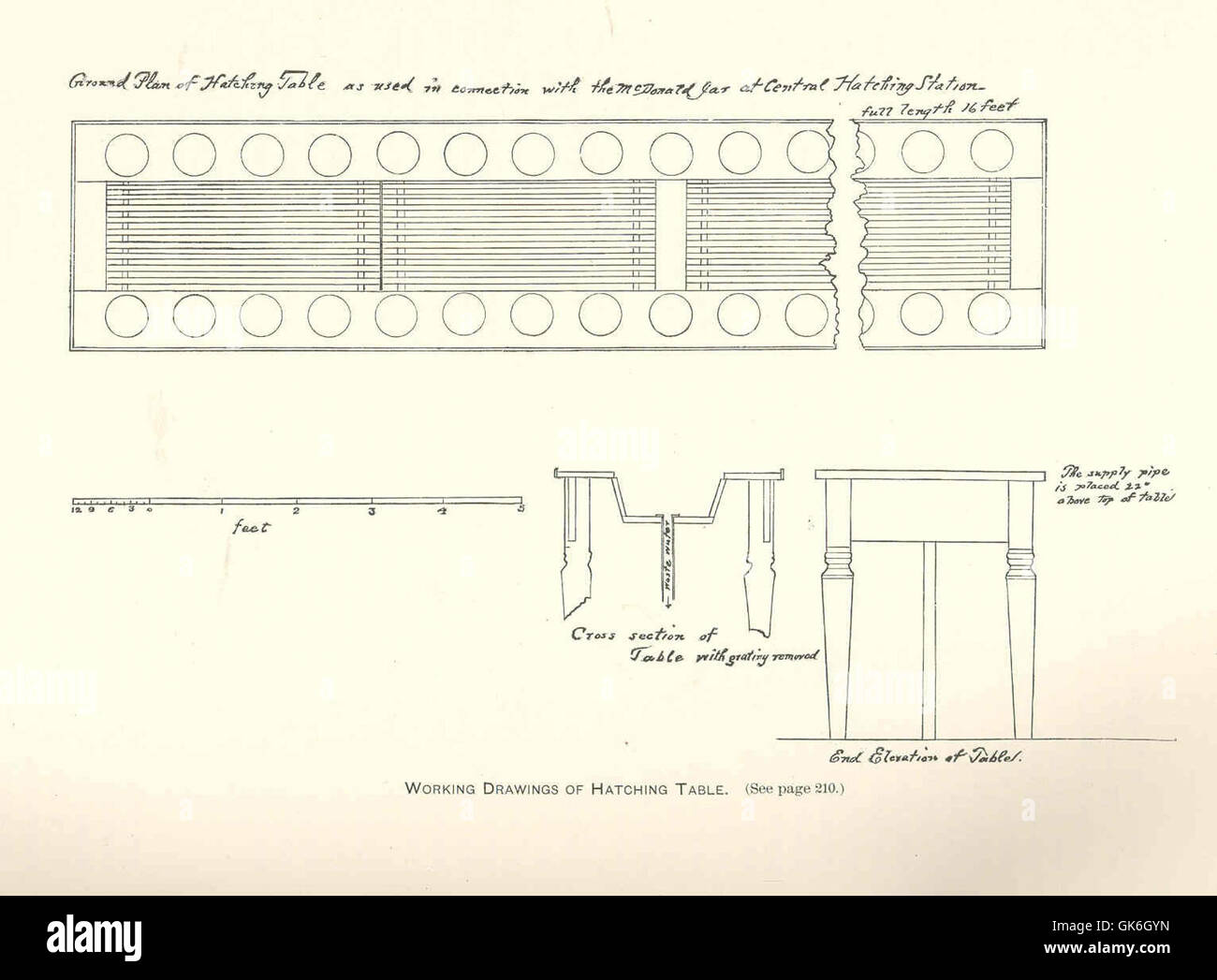 The working drawings of a hatching table detail the design and ...