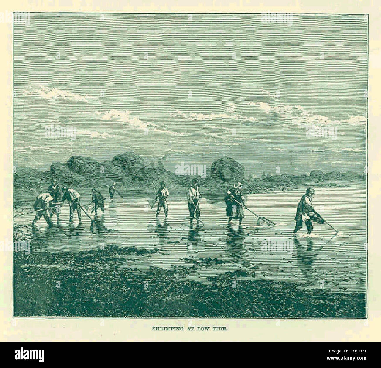 Vintage shrimping hi-res stock photography and images - Alamy