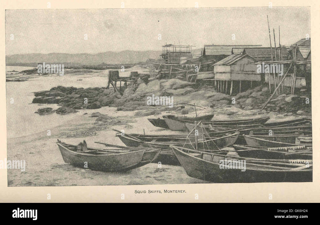 Squid skiffs, small boats typically used for squid fishing, are ...
