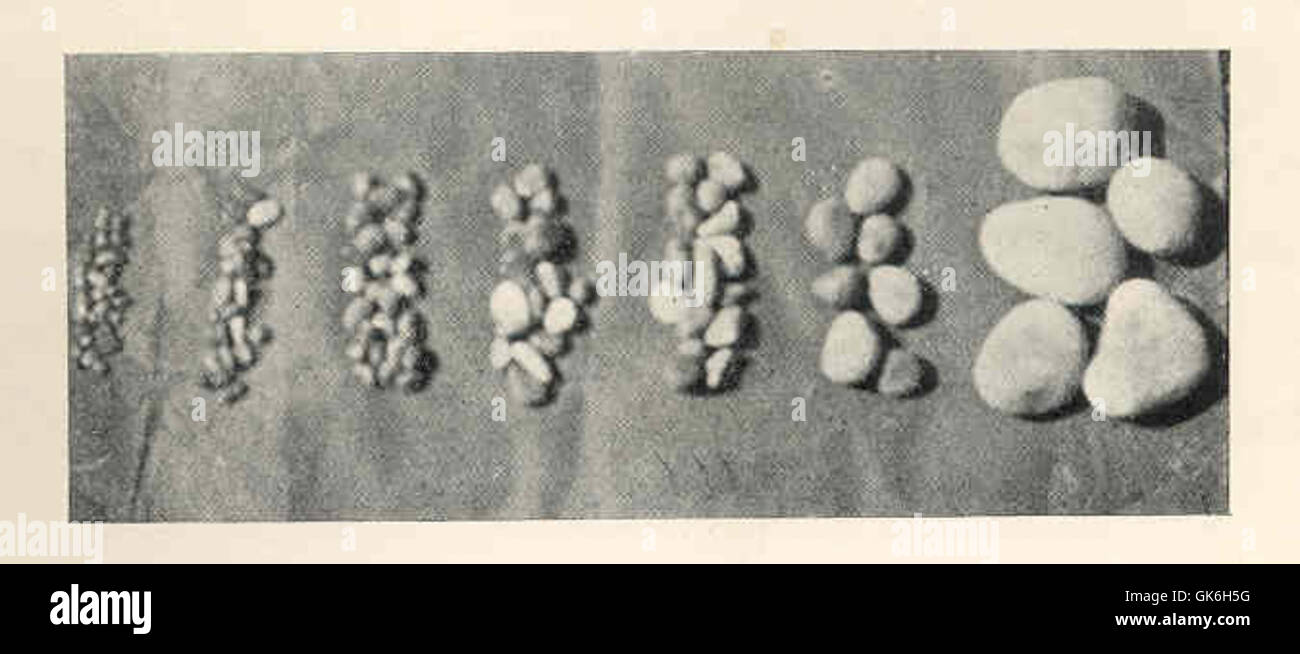 This image depicts the gradation of stones from Burton Bradstock to ...