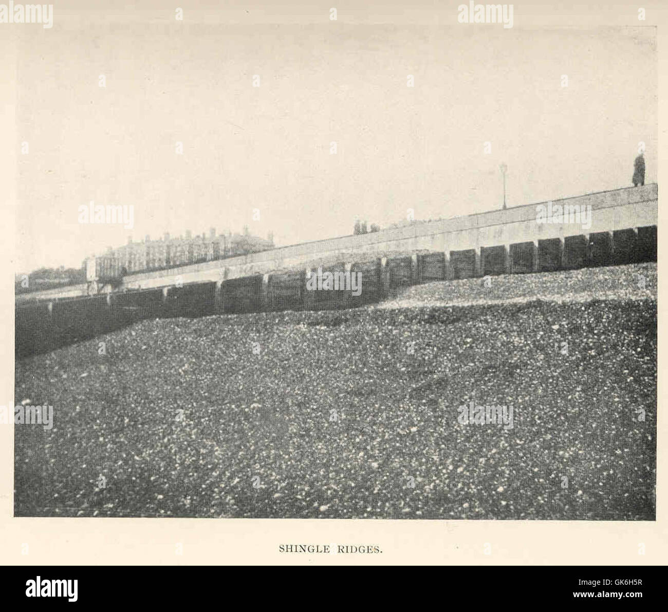 Shingle ridges are geological features formed by the movement of water ...