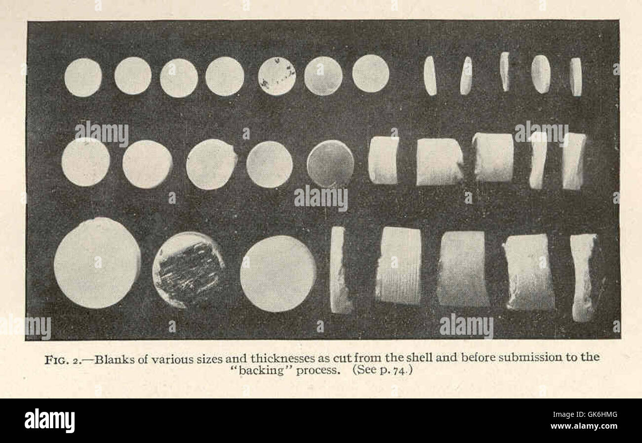 38314 Blanks of various sizes and thicknesses as cut from the shell and ...