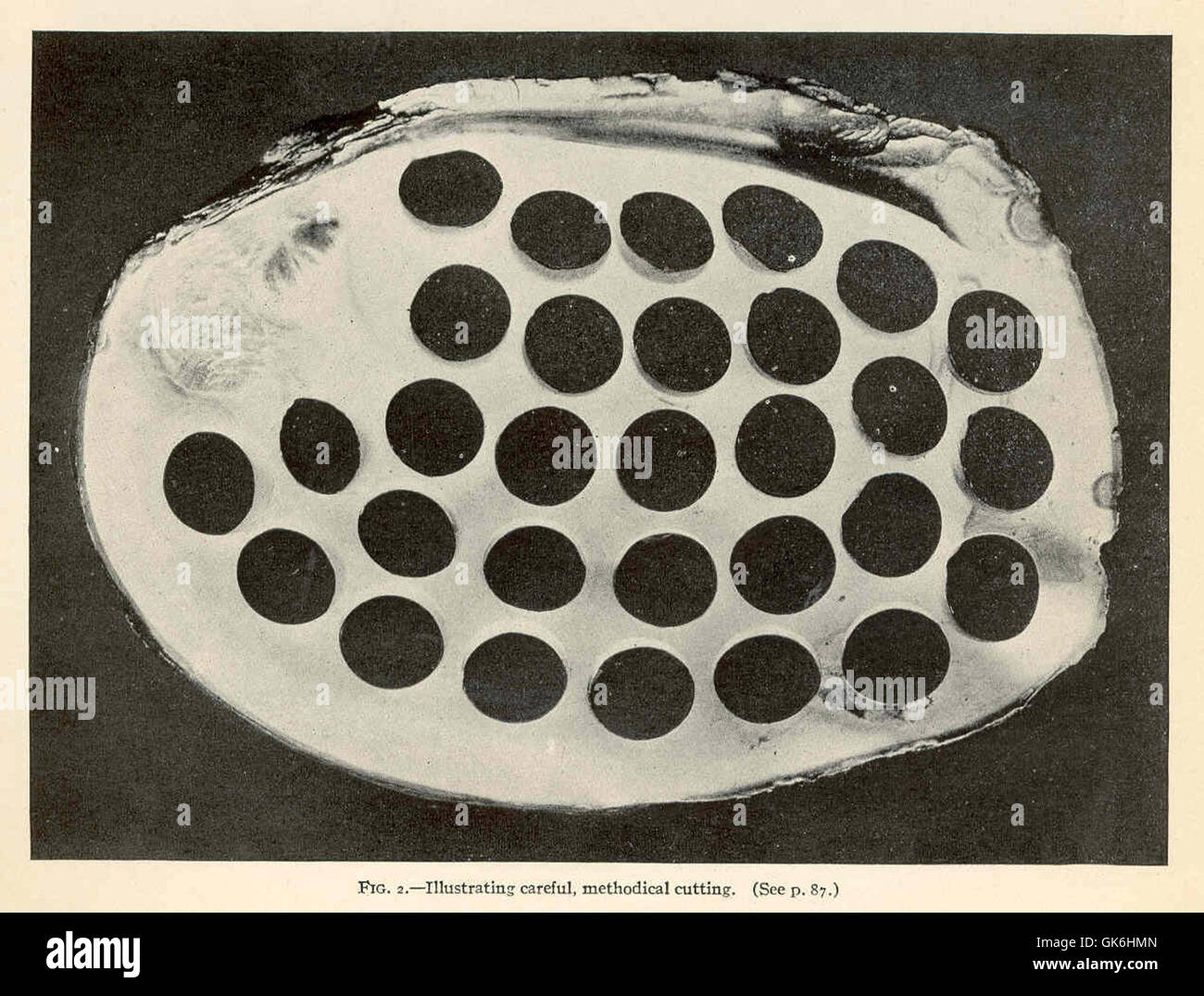 An illustration showing the careful and methodical process of cutting ...