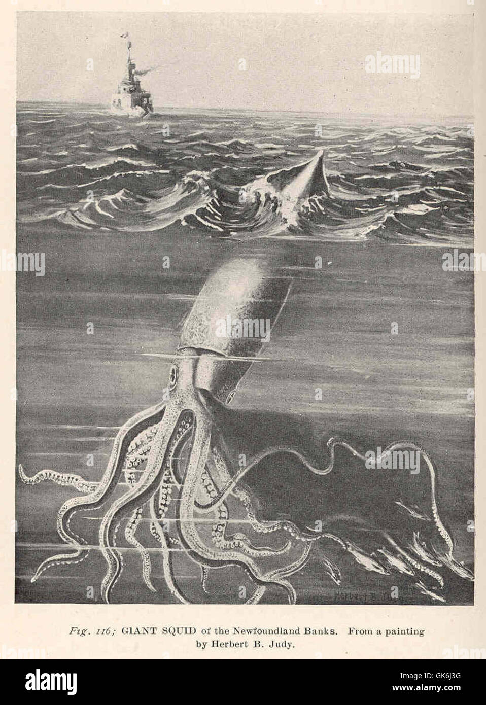 This artwork by Herbert B. Judy depicts a giant squid, a deep-sea ...