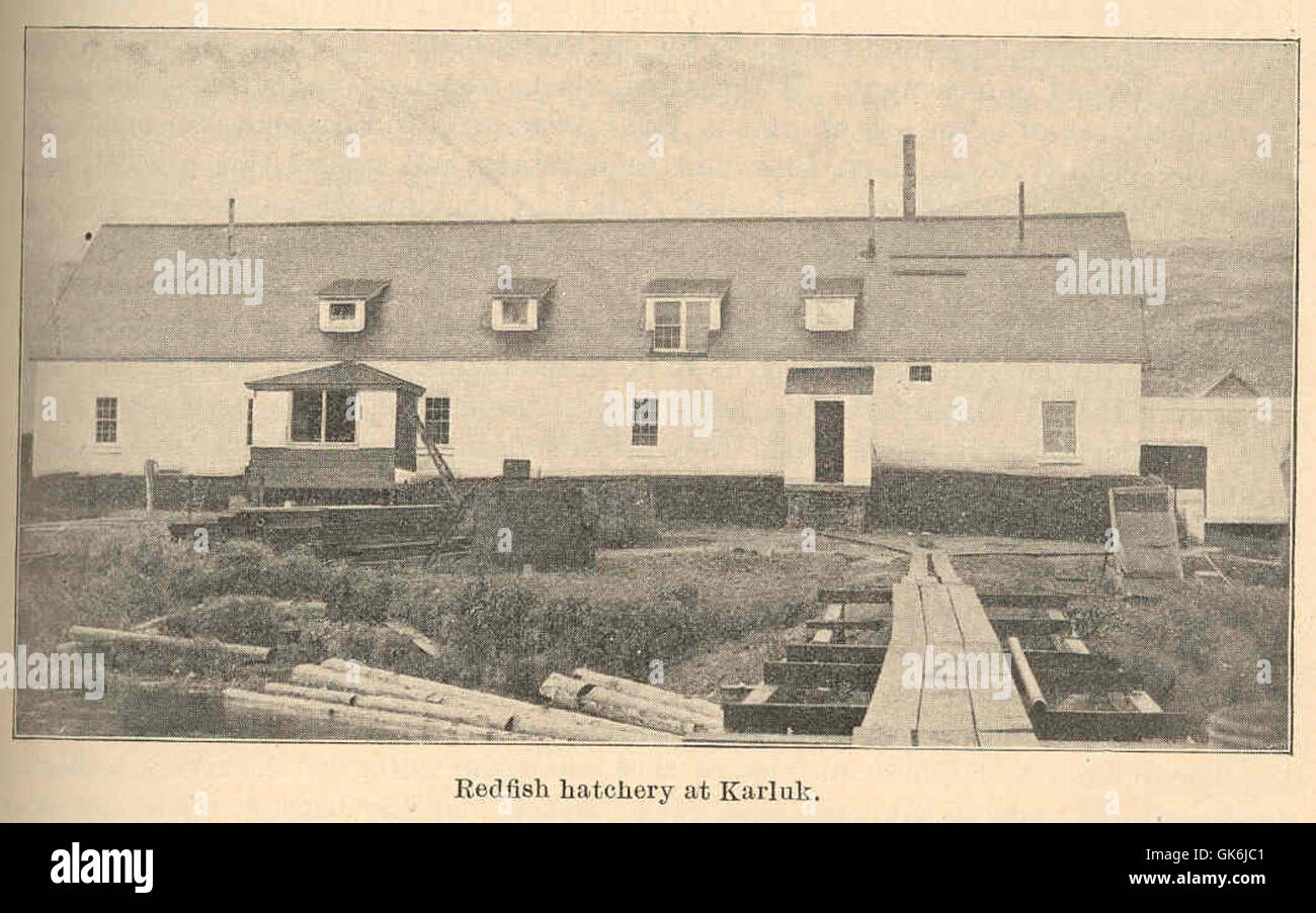 38757 Redfish Hatchery at Karluk Stock Photo - Alamy