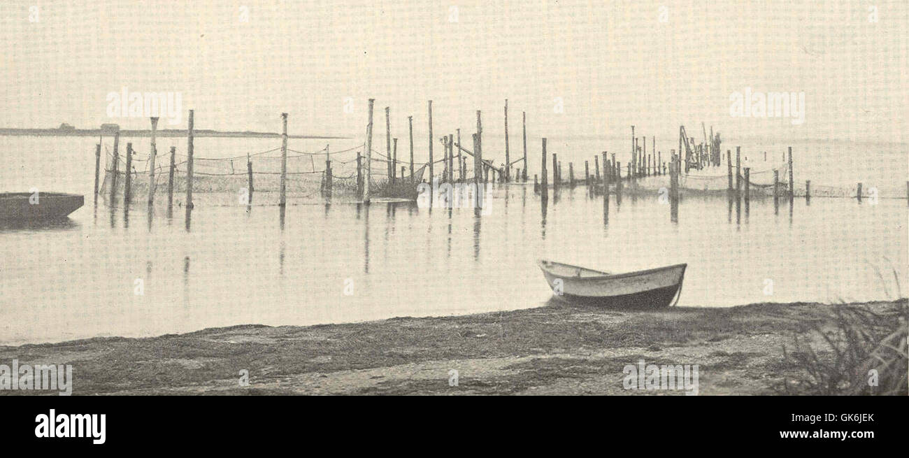 The pound net in Chignik Bay is a traditional fishing method used to ...