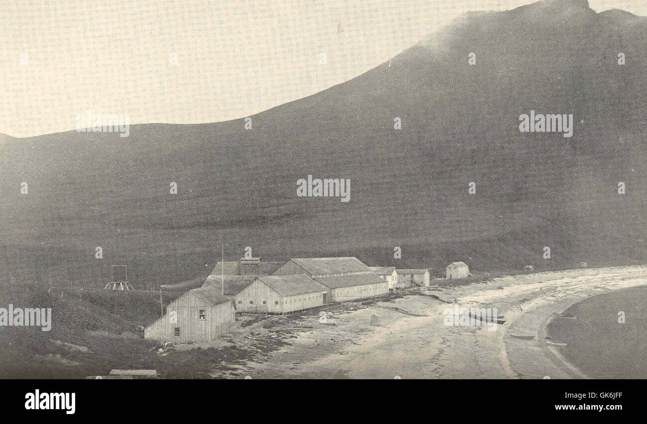 Tanglefoot hi-res stock photography and images - Alamy