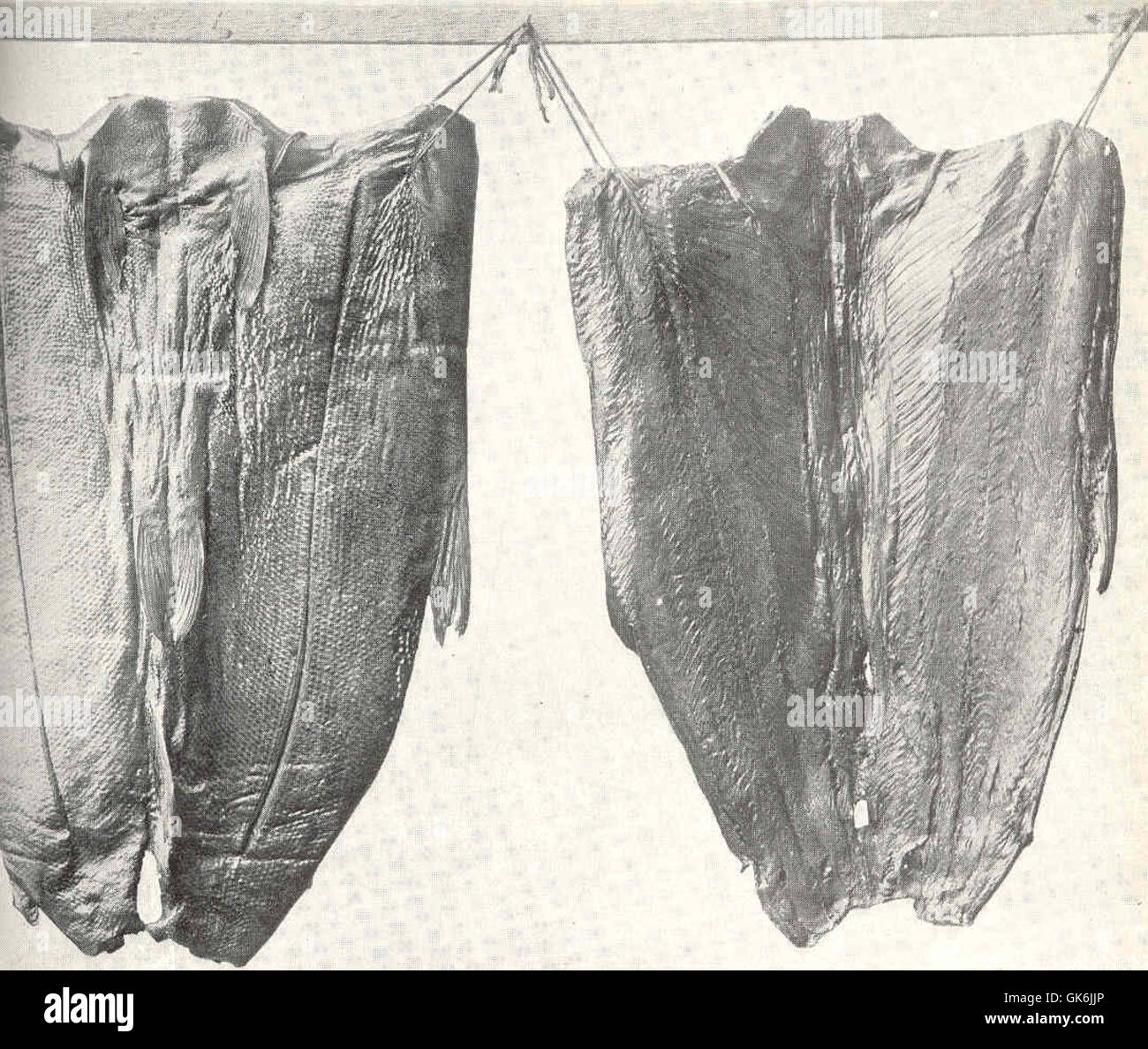 This image shows smoked Columbia Salmon in both back and front views ...