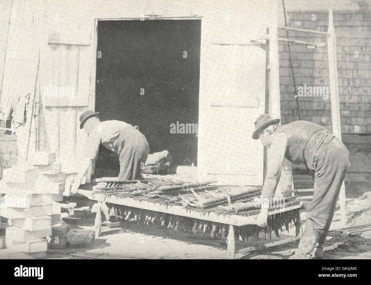 A scene from the coast of Maine showing a herring horse, a traditional ...