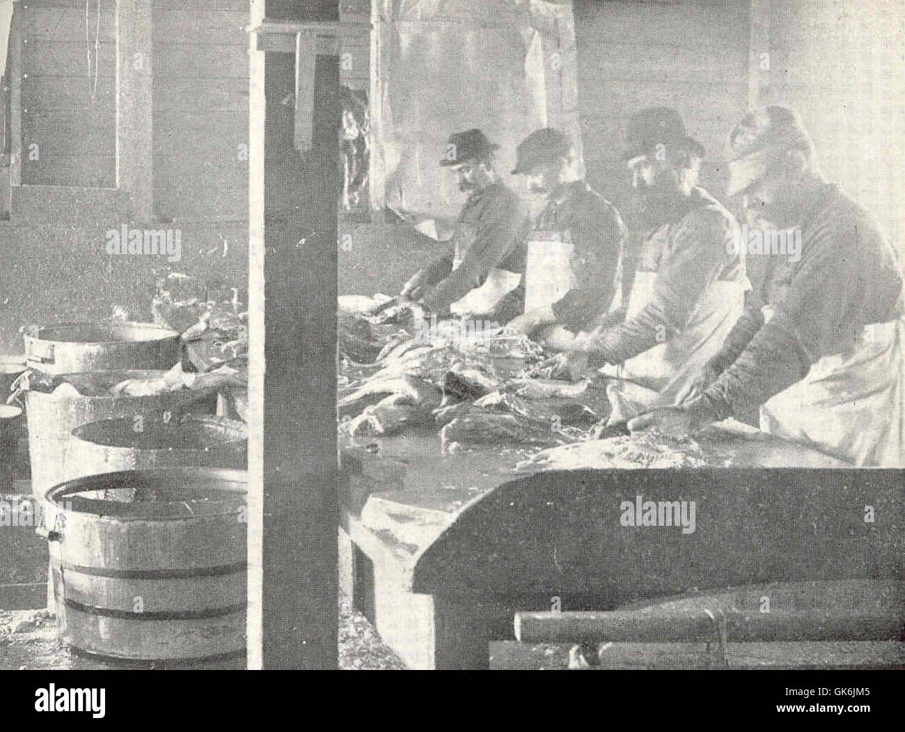 Finnan haddock hi-res stock photography and images - Alamy