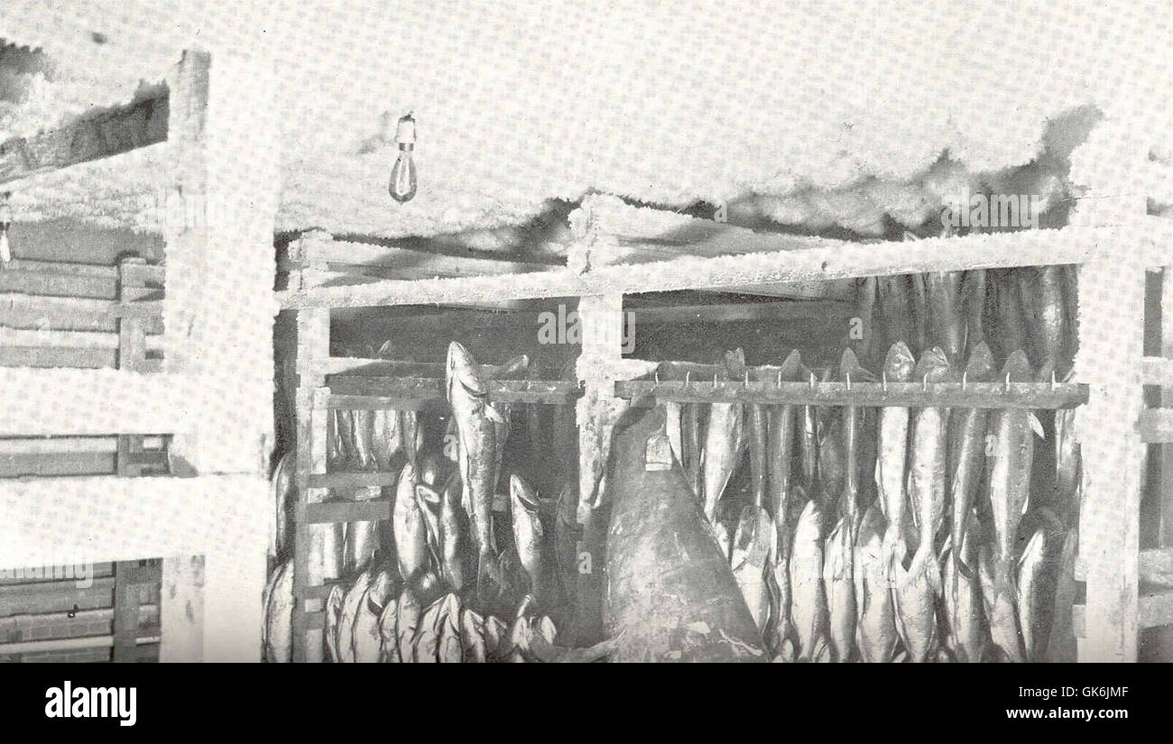 This image shows the freezing room of an ammonia plant in Boston ...