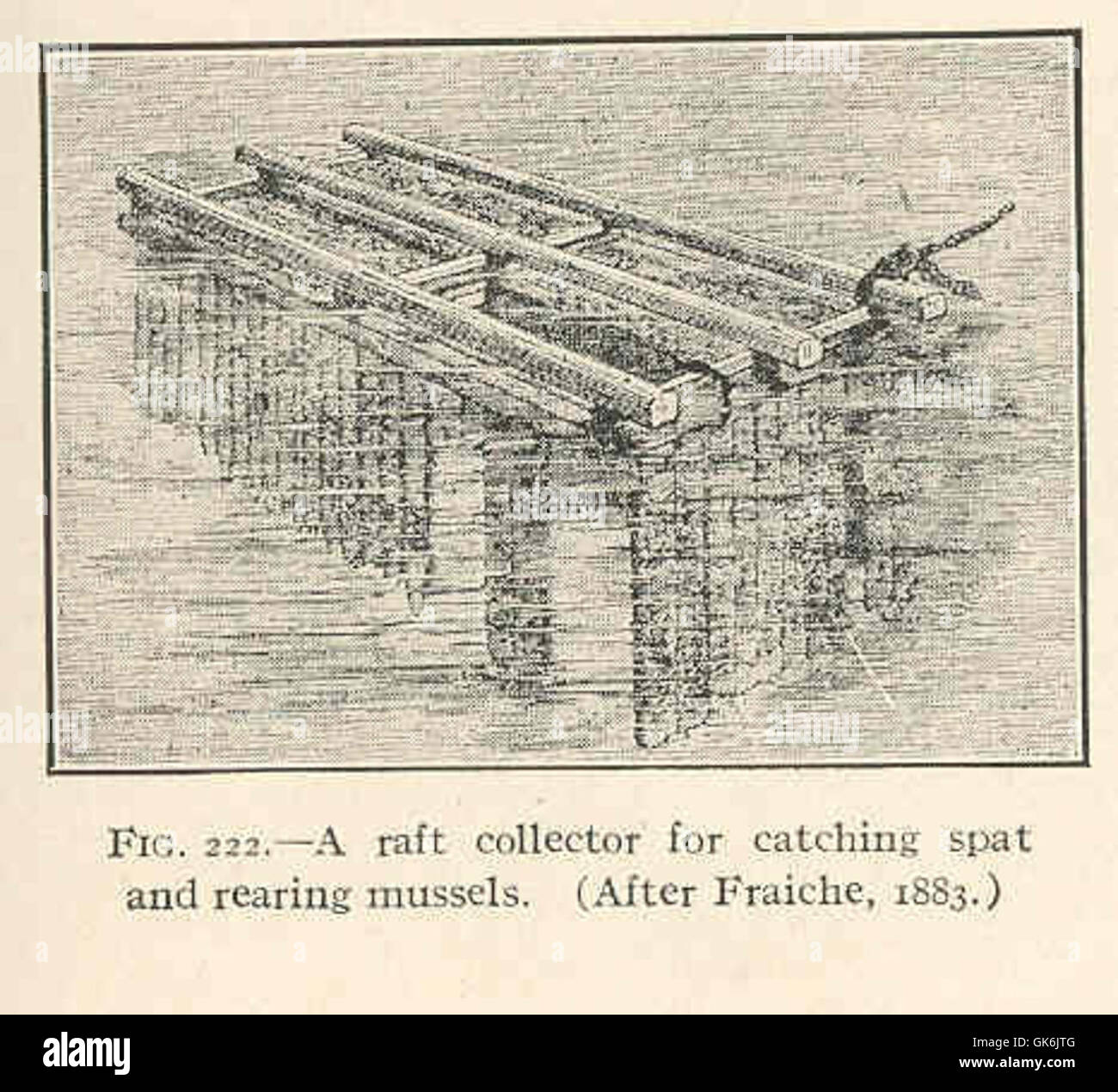 A raft collector designed for catching spat (young mussels) and rearing ...