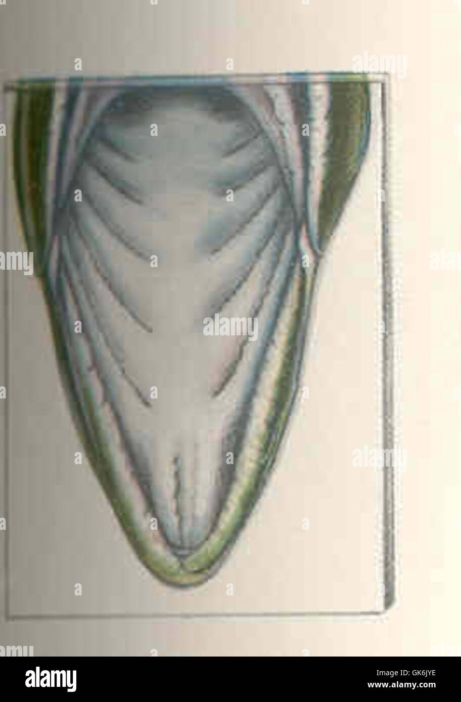 Floor normal map hi-res stock photography and images - Alamy