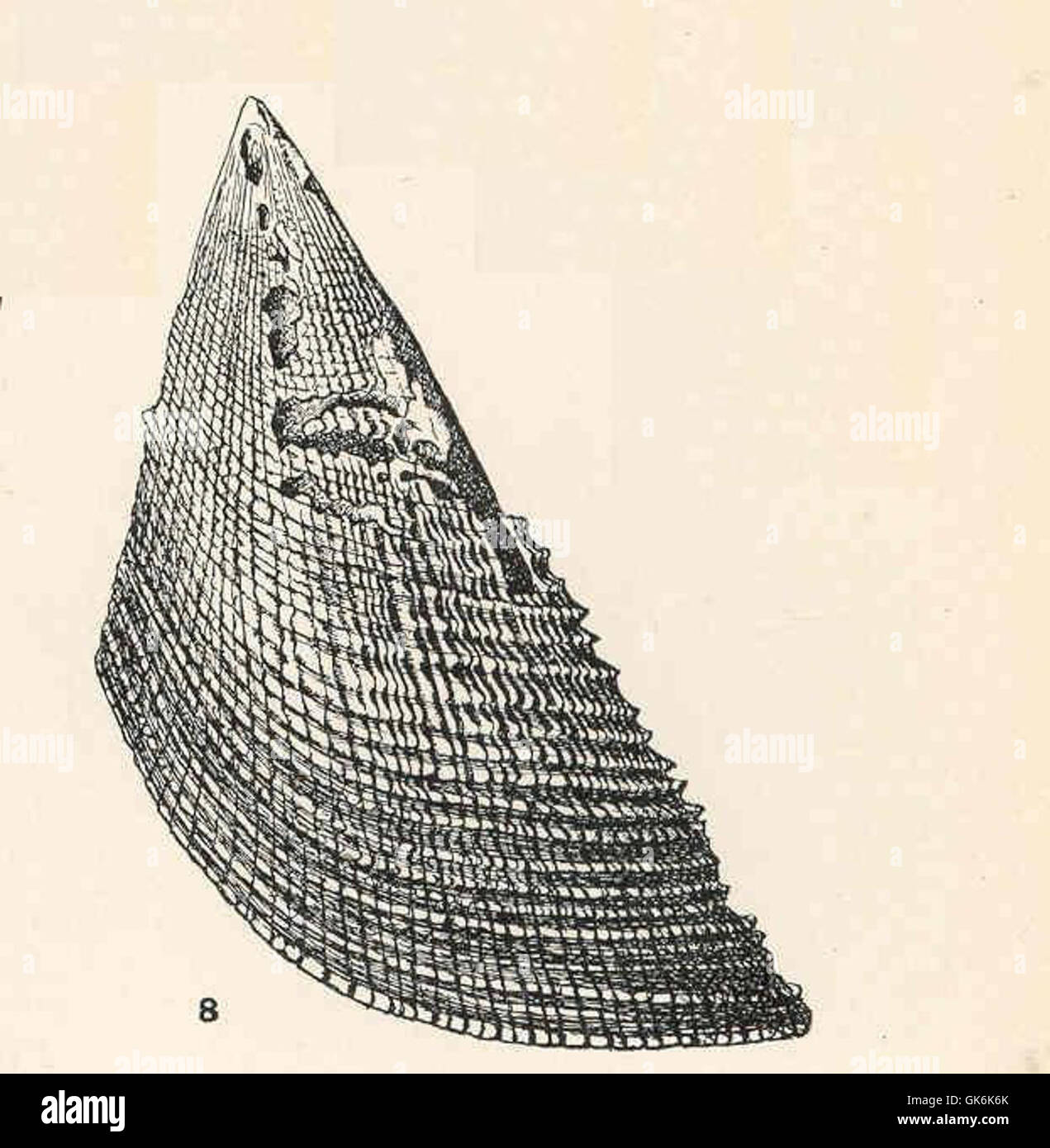 Aquila map hi-res stock photography and images - Alamy