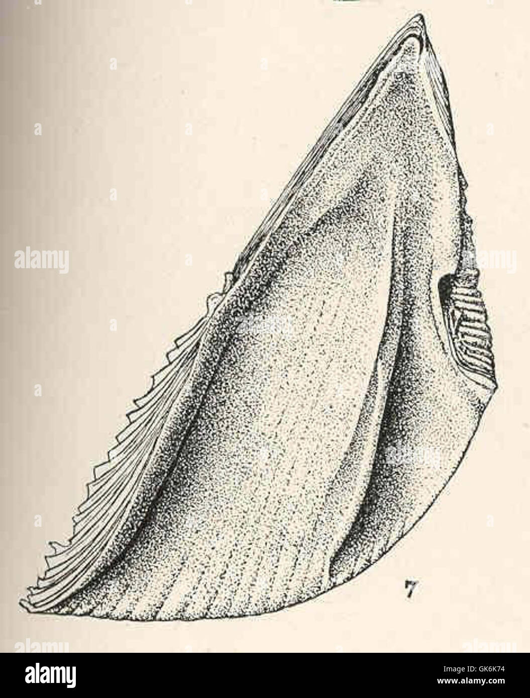 Aquila map hi-res stock photography and images - Alamy