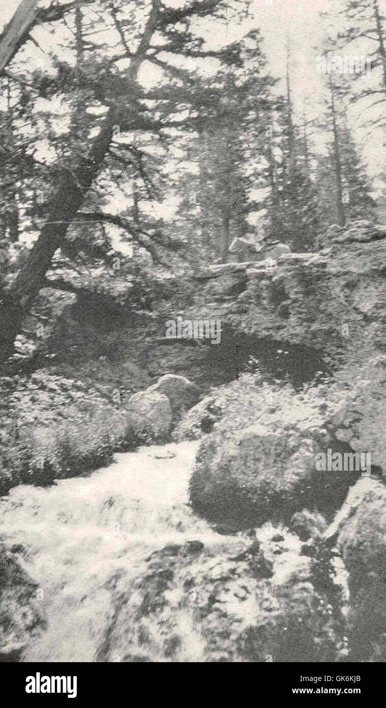 39551 Natural bridge over small tributary of Volcano Creek just above ...