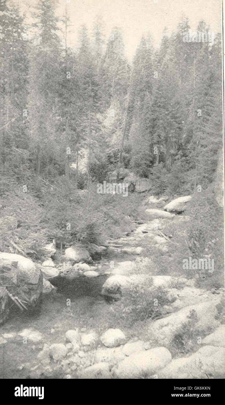 The Marble Fork of the Kaweah River, as viewed from a bridge on the ...