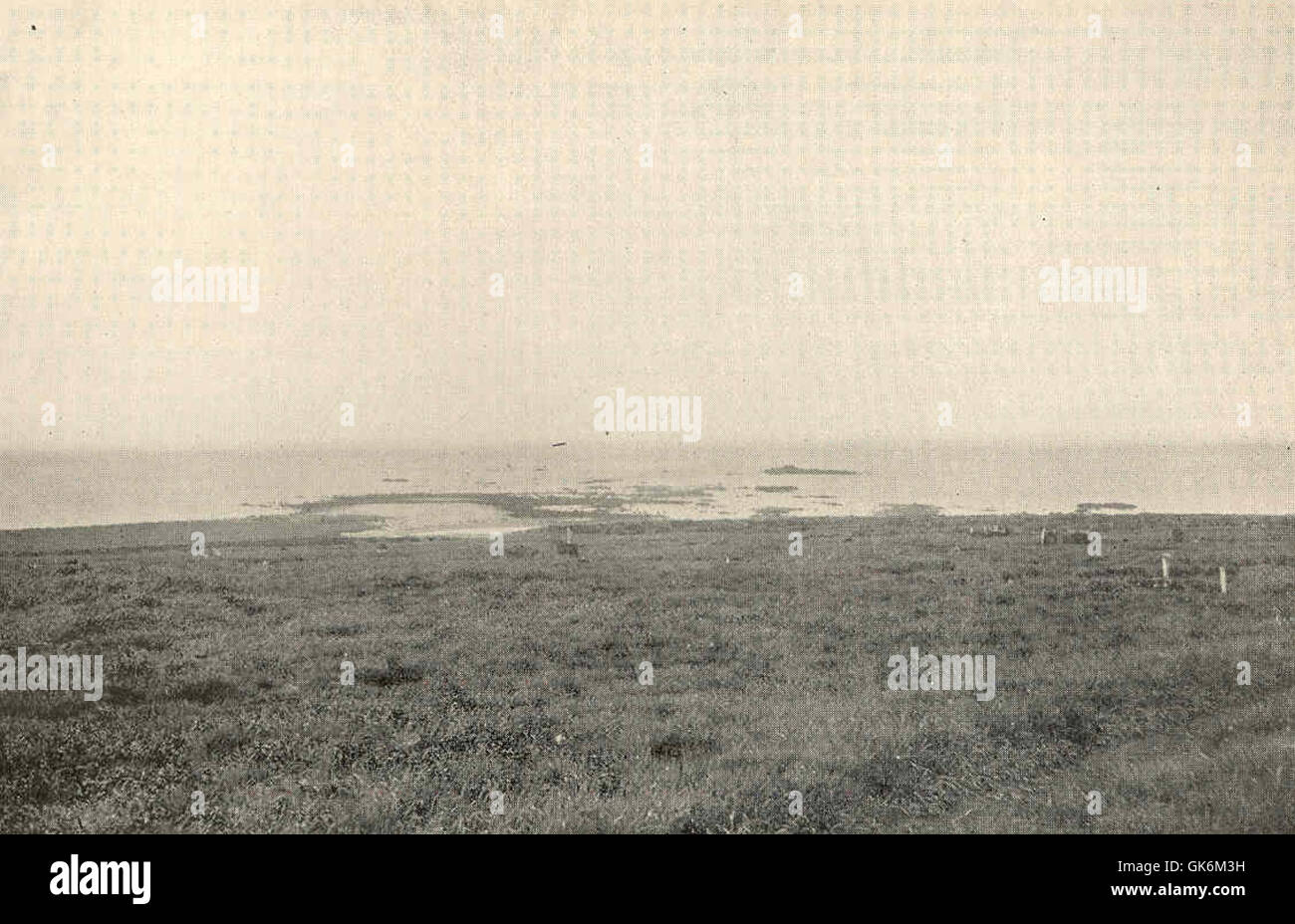 A view from Sledge Road of the North Rookery on Bering Island ...