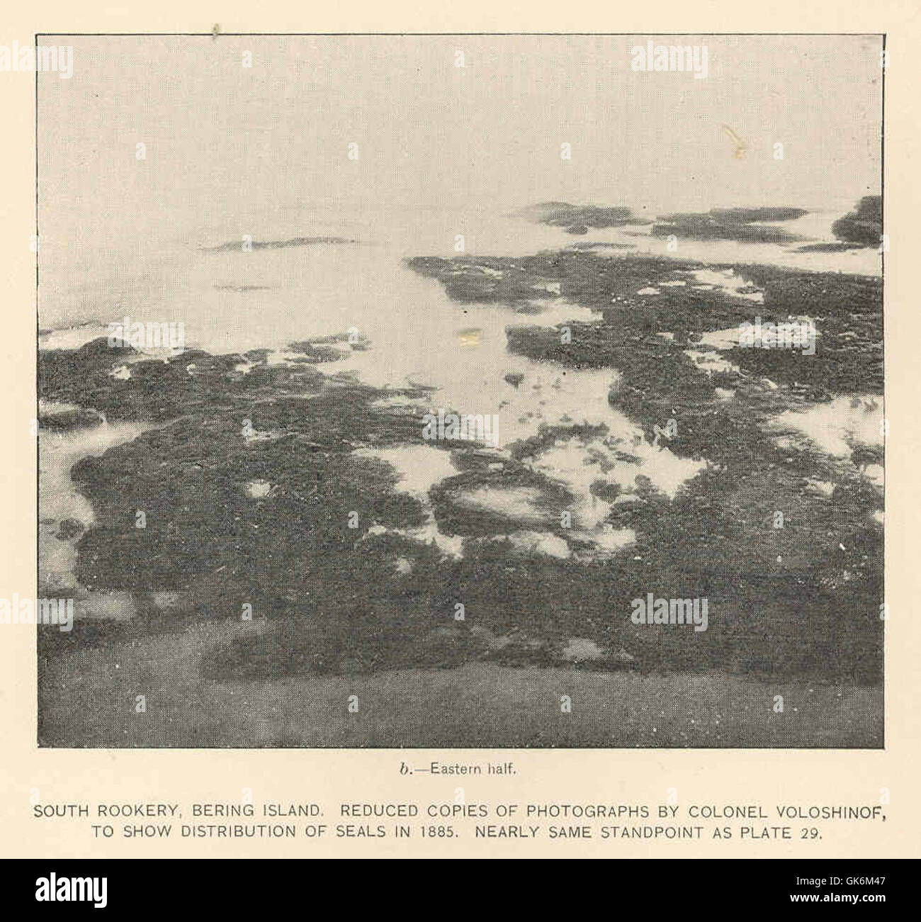 A historical map showing the distribution of seals at the South Rookery ...